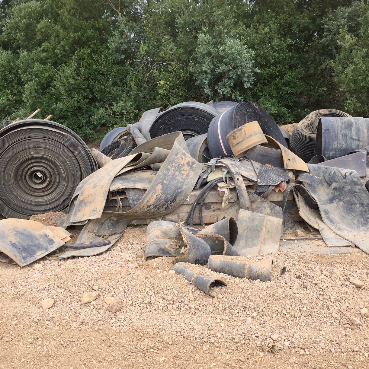 FENNER DUNLOP AND THE ENVIRONMENT – ACTIONS SPEAK LOUDER THAN WORDS ...